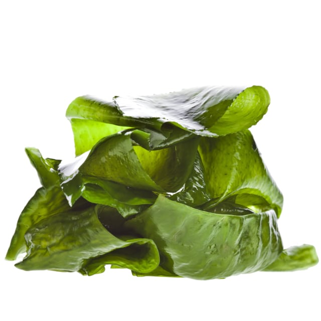 Der Seealgen-Rechner | Der BARF-Blog